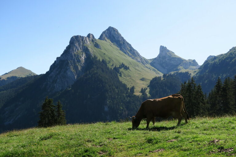 Le Chablais : 8 choses à savoir sur la région